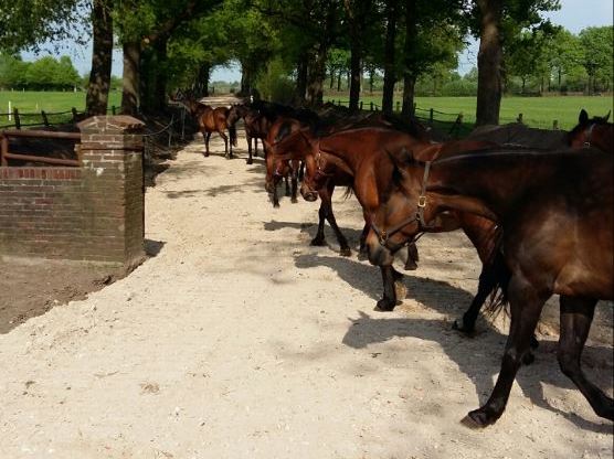01.12.13 Herzlichen Glückwunsch zum Geburtstag - Henning Rathjen 65 ...