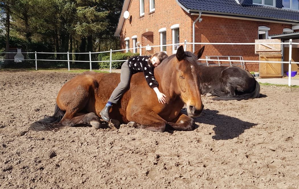 Henning Rathjen / Trainer / Verein - Schleswig Holsteinischer Verein ...