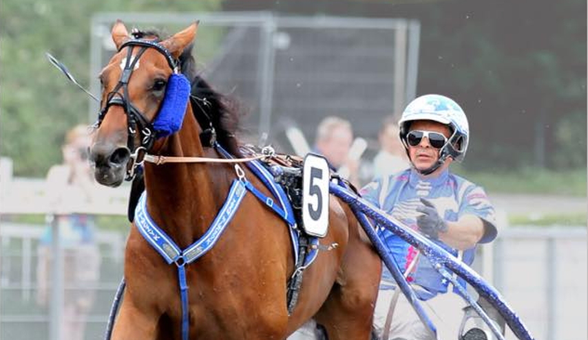 Henning Rathjen / Trainer / Verein - Schleswig Holsteinischer Verein ...