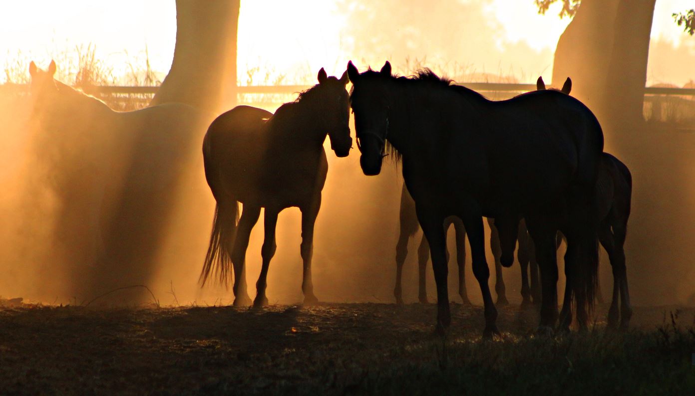 01.12.13 Herzlichen Glückwunsch zum Geburtstag - Henning Rathjen 65 ...