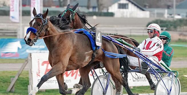 Henning Rathjen / Trainer / Verein - Schleswig Holsteinischer Verein ...