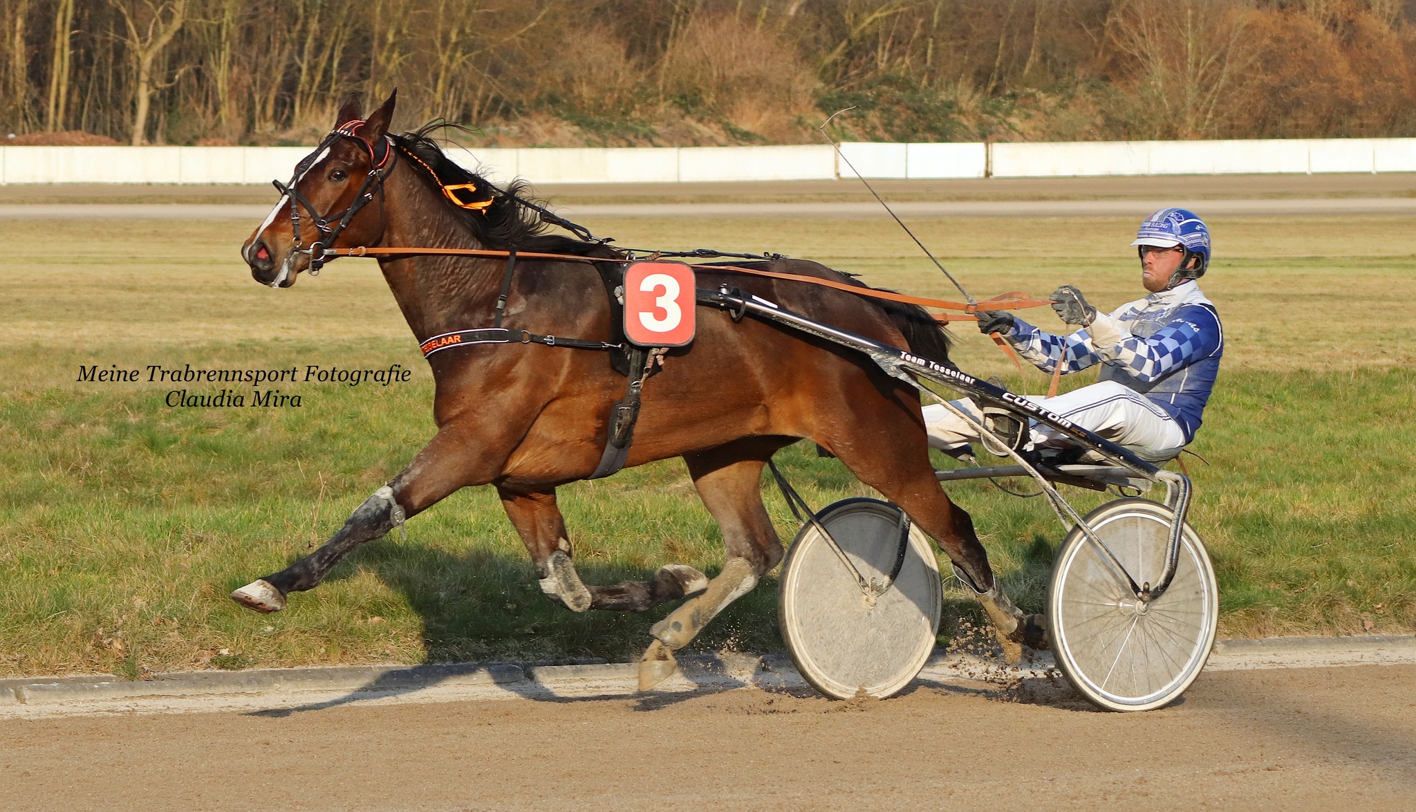 Henning Rathjen / Trainer / Verein - Schleswig Holsteinischer Verein ...